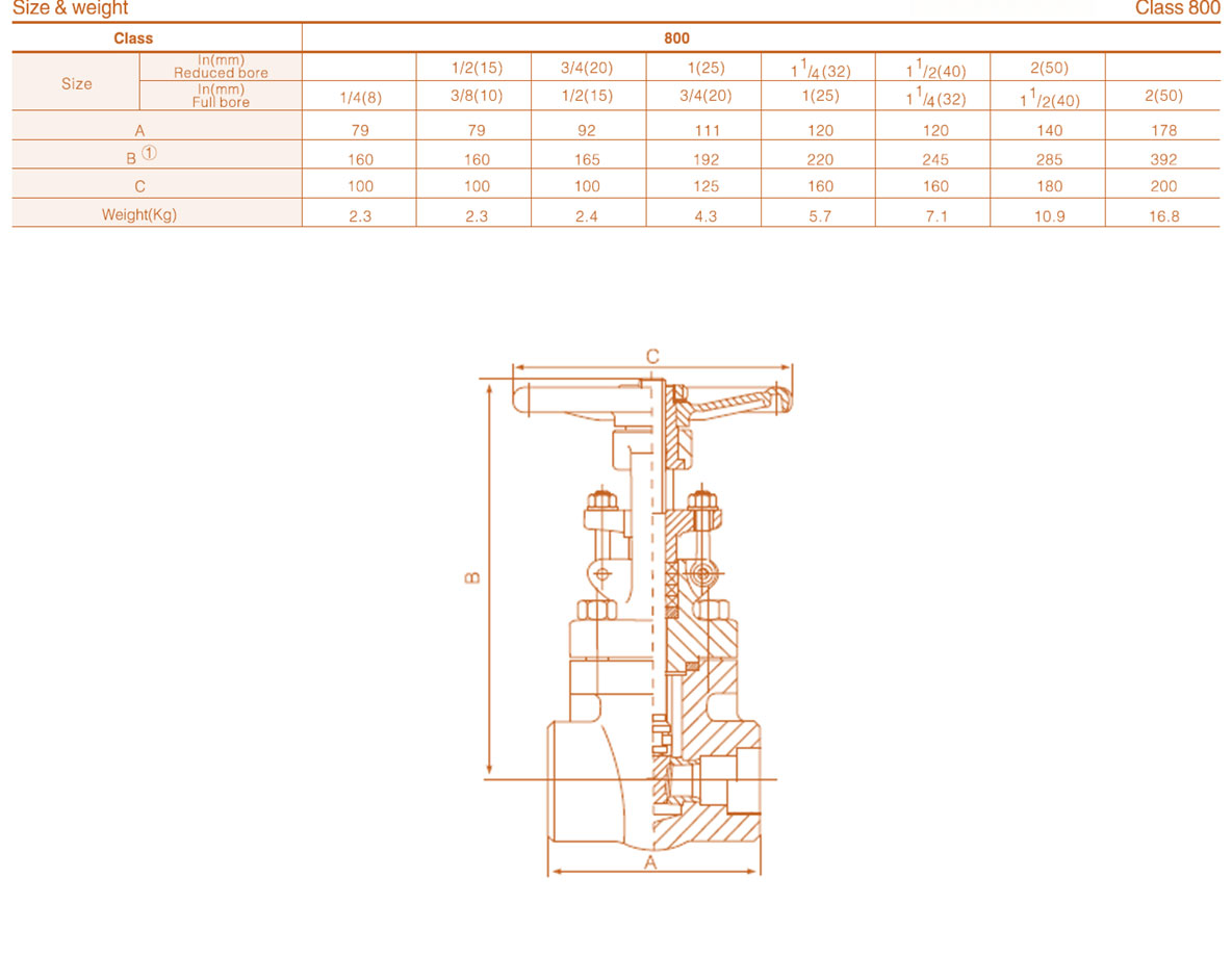 GATE VALVES - VFP Solutions